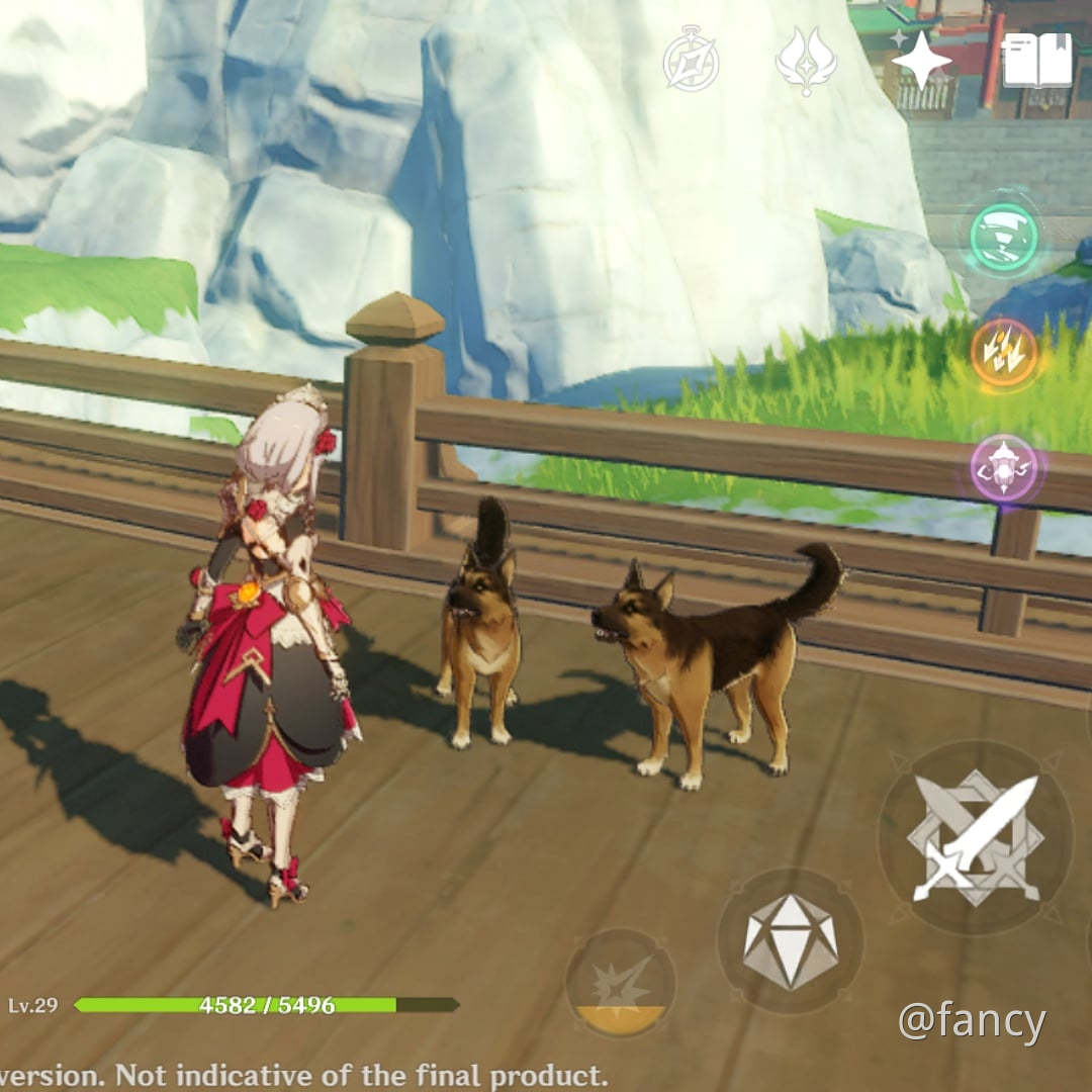 documenting the dogs and cats i see Genshin Impact | HoYoLAB