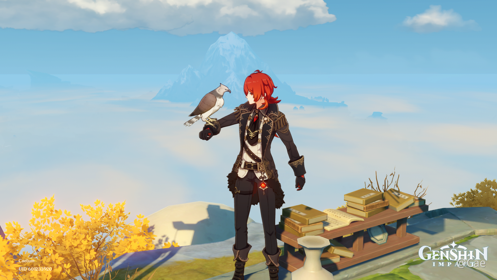 I want to name Diluc's little Hawk Friend, Any Suggestions? Genshin ...