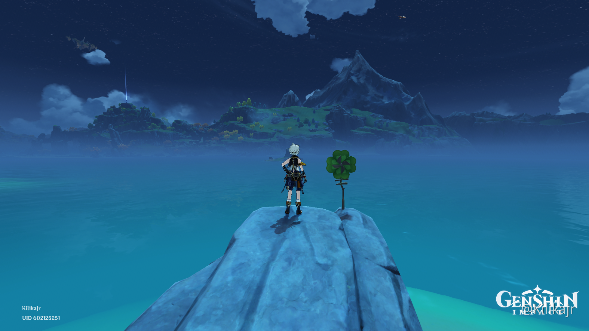 Beautiful Night view Genshin Impact | HoYoLAB