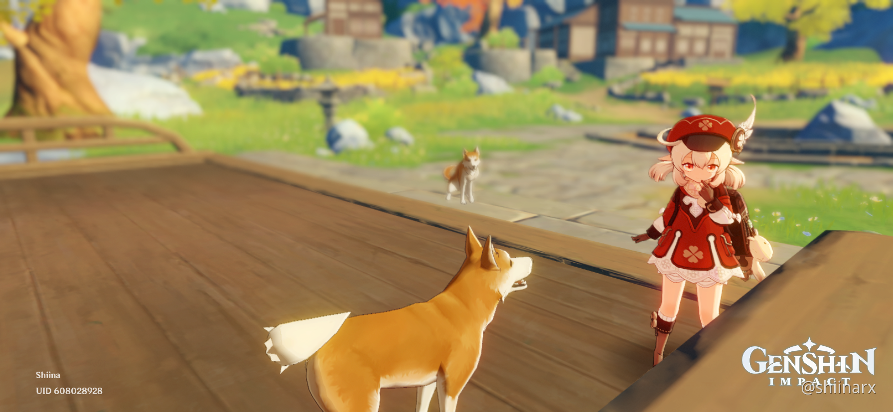 Klee & animals | Genshin Impact | HoYoLAB