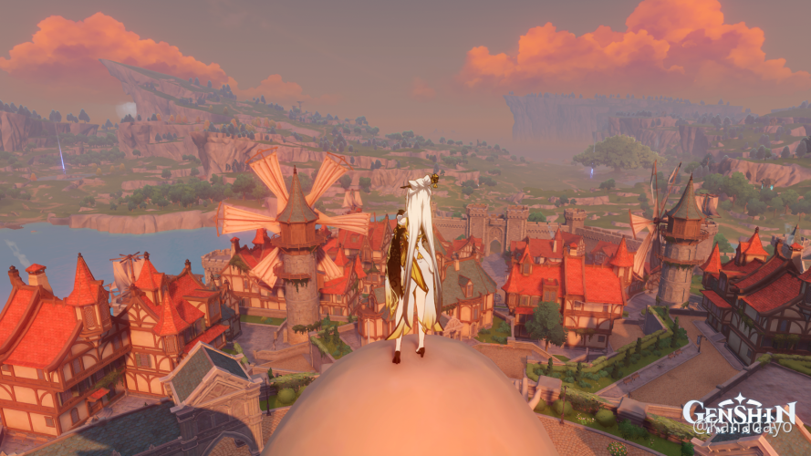 A Picture's Worth a Thousand Words--The Tianquan's Day Out Genshin ...