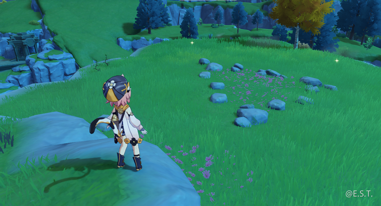 strange stones Genshin Impact | HoYoLAB