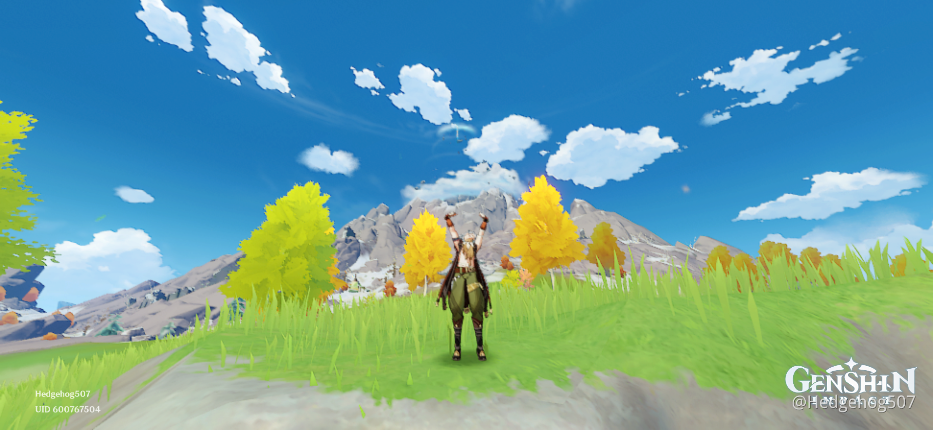 Lovely view Genshin Impact | HoYoLAB