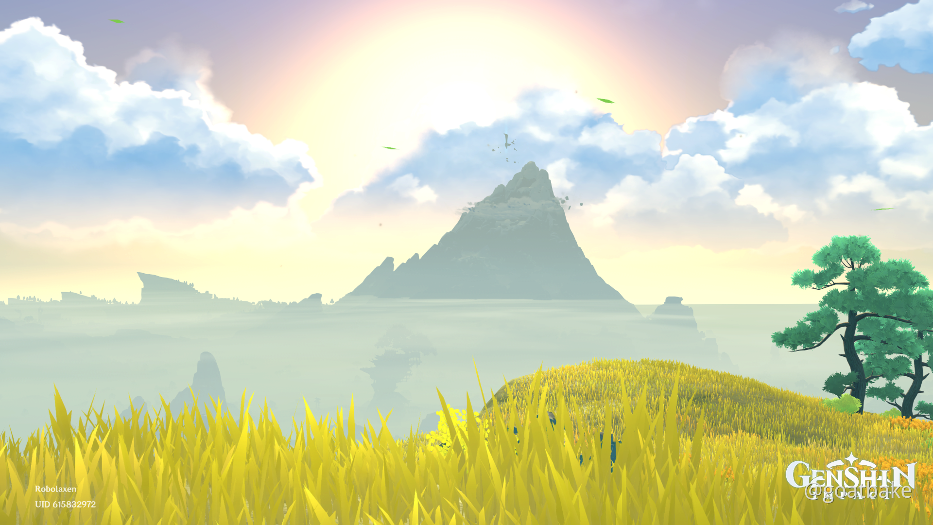 nice view Genshin Impact | HoYoLAB