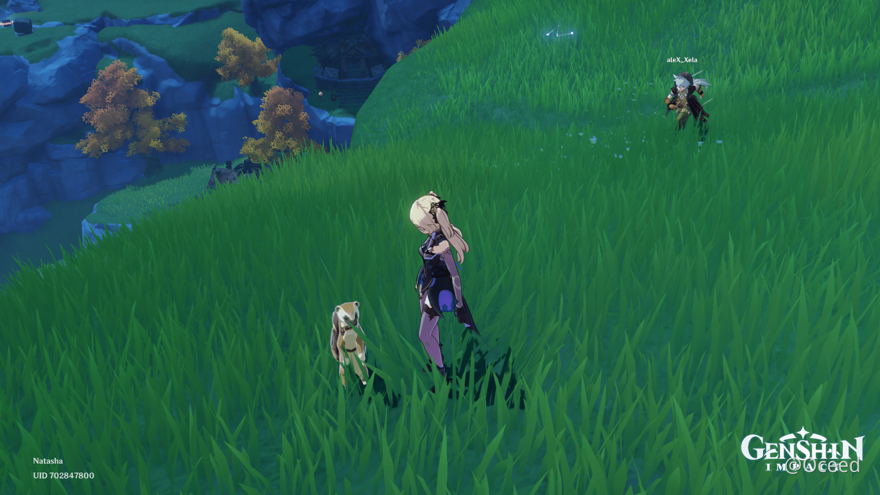 Mora weasel up close Genshin Impact | HoYoLAB