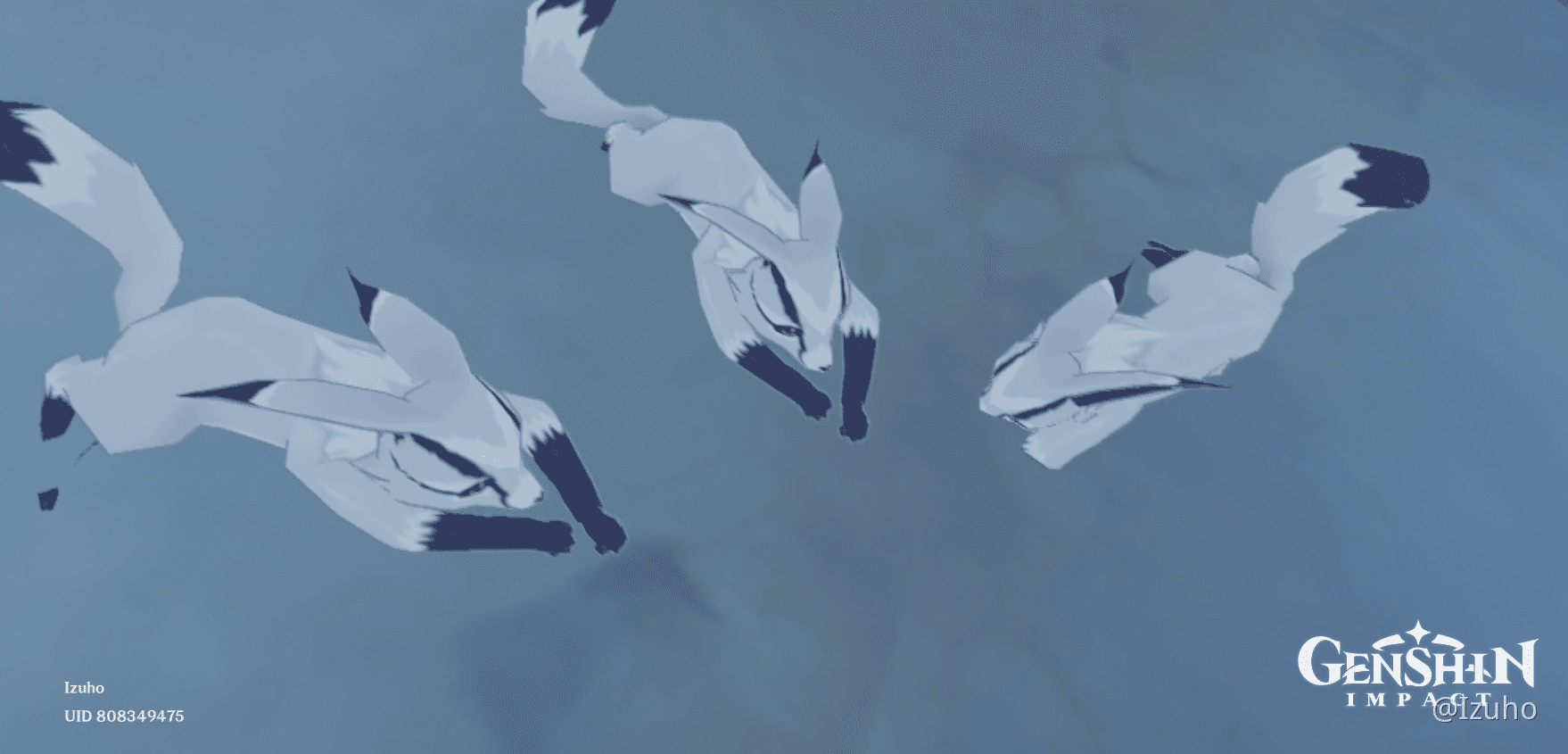 Look at how cute these 3 little foxes- Genshin Impact | HoYoLAB