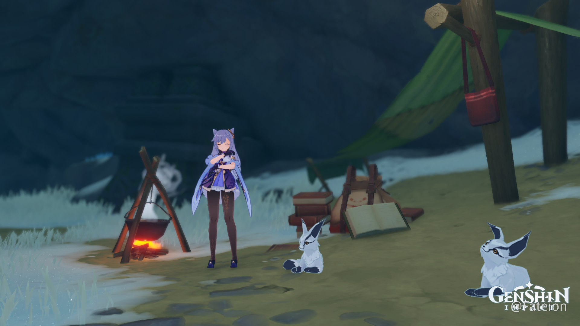 After Feeding fox for 5 Days, kill or not kill? Genshin Impact | HoYoLAB