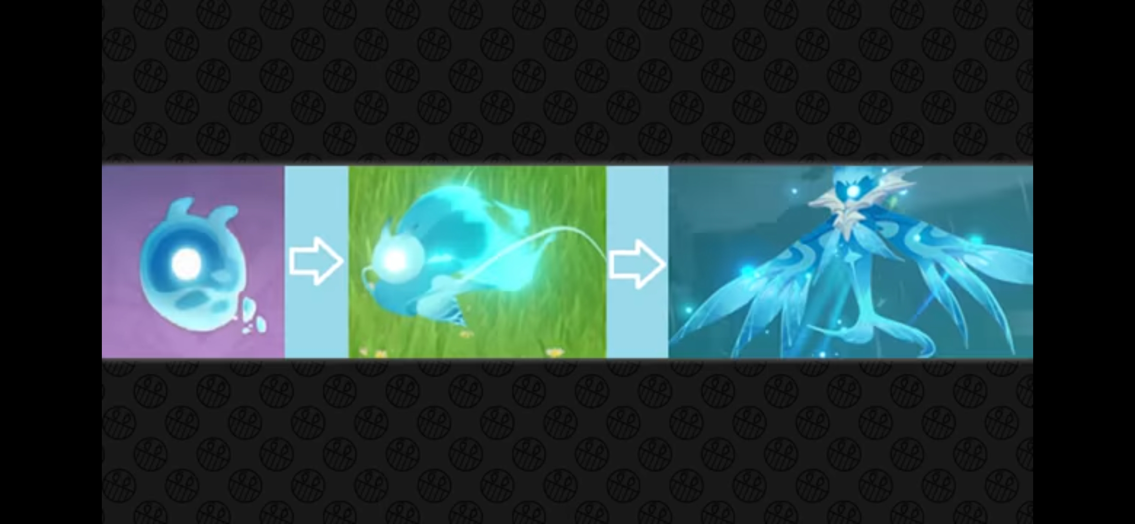 future seele Genshin Impact | HoYoLAB