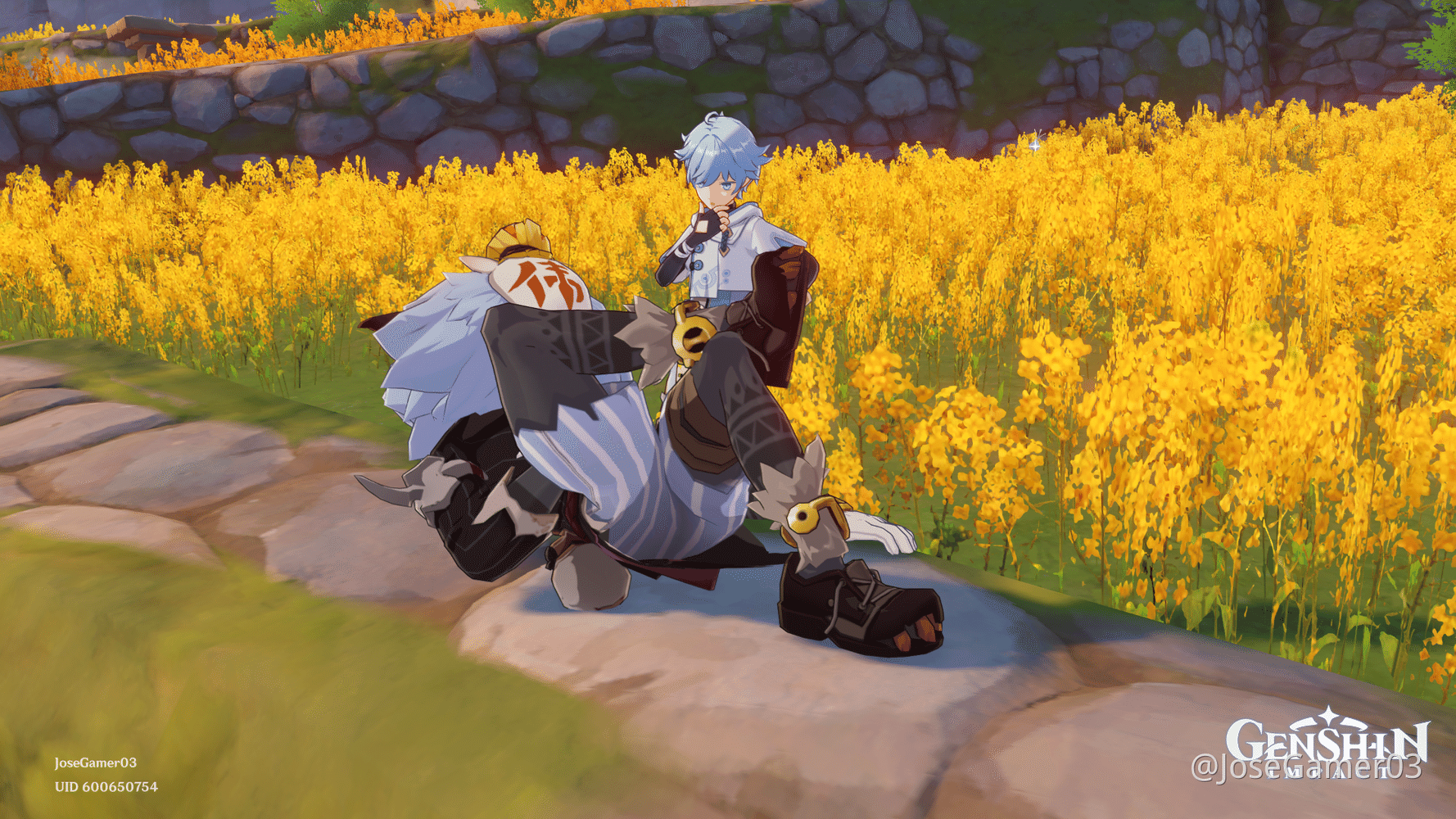 Hilichurl extraño Descansado Genshin Impact | HoYoLAB