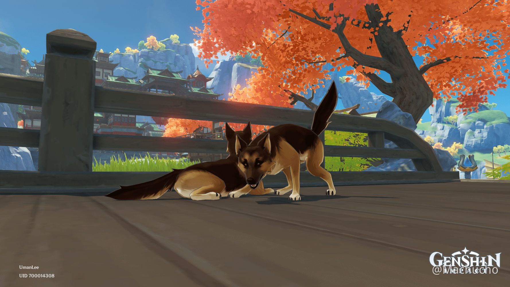 Who let the dogs out? Genshin Impact | HoYoLAB