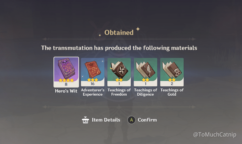 Parametric Transformer Genshin