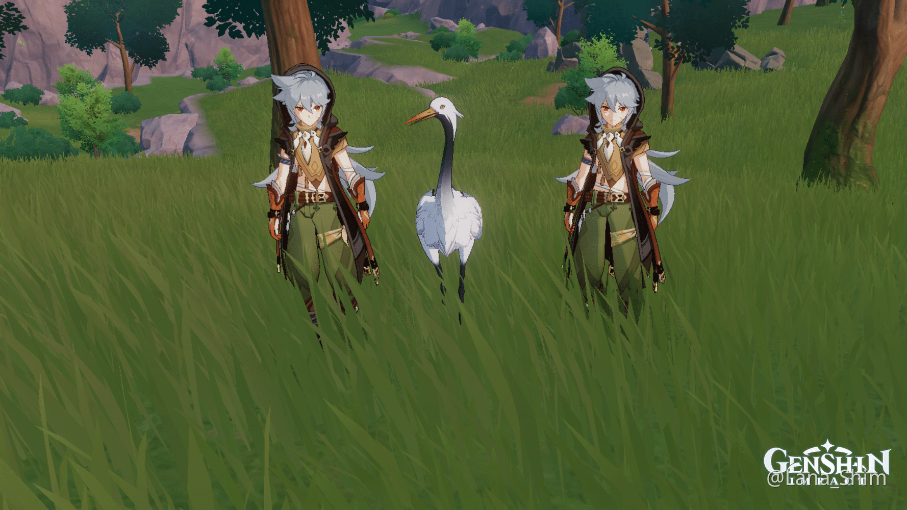 Two brothers acrobat Genshin Impact | HoYoLAB