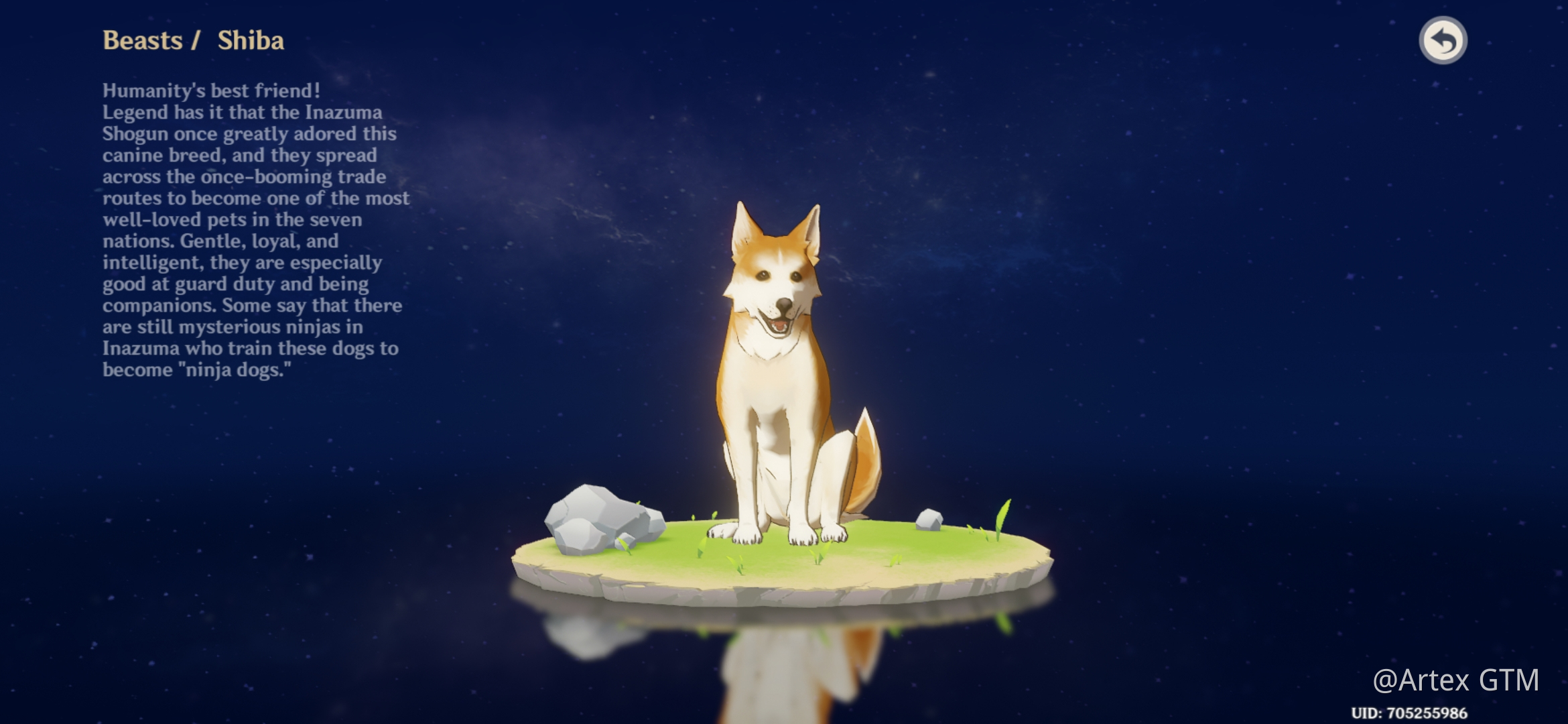 This is Ninja Dog is From Inazuma Genshin Impact | HoYoLAB