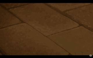 What I think of Mona's sprinting Genshin Impact | HoYoLAB