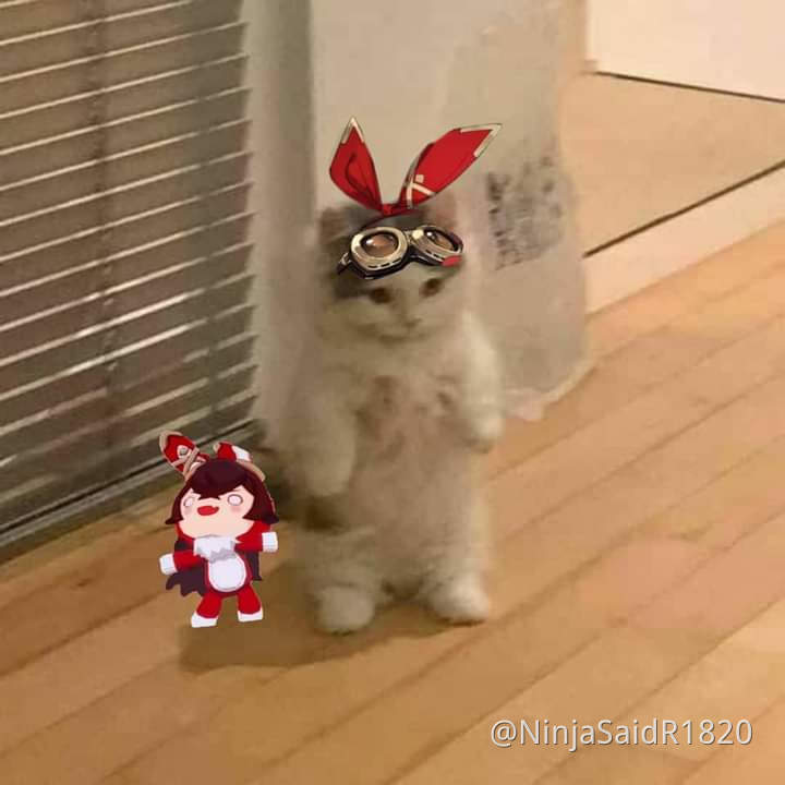 Baron Bunny Genshin Impact | HoYoLAB