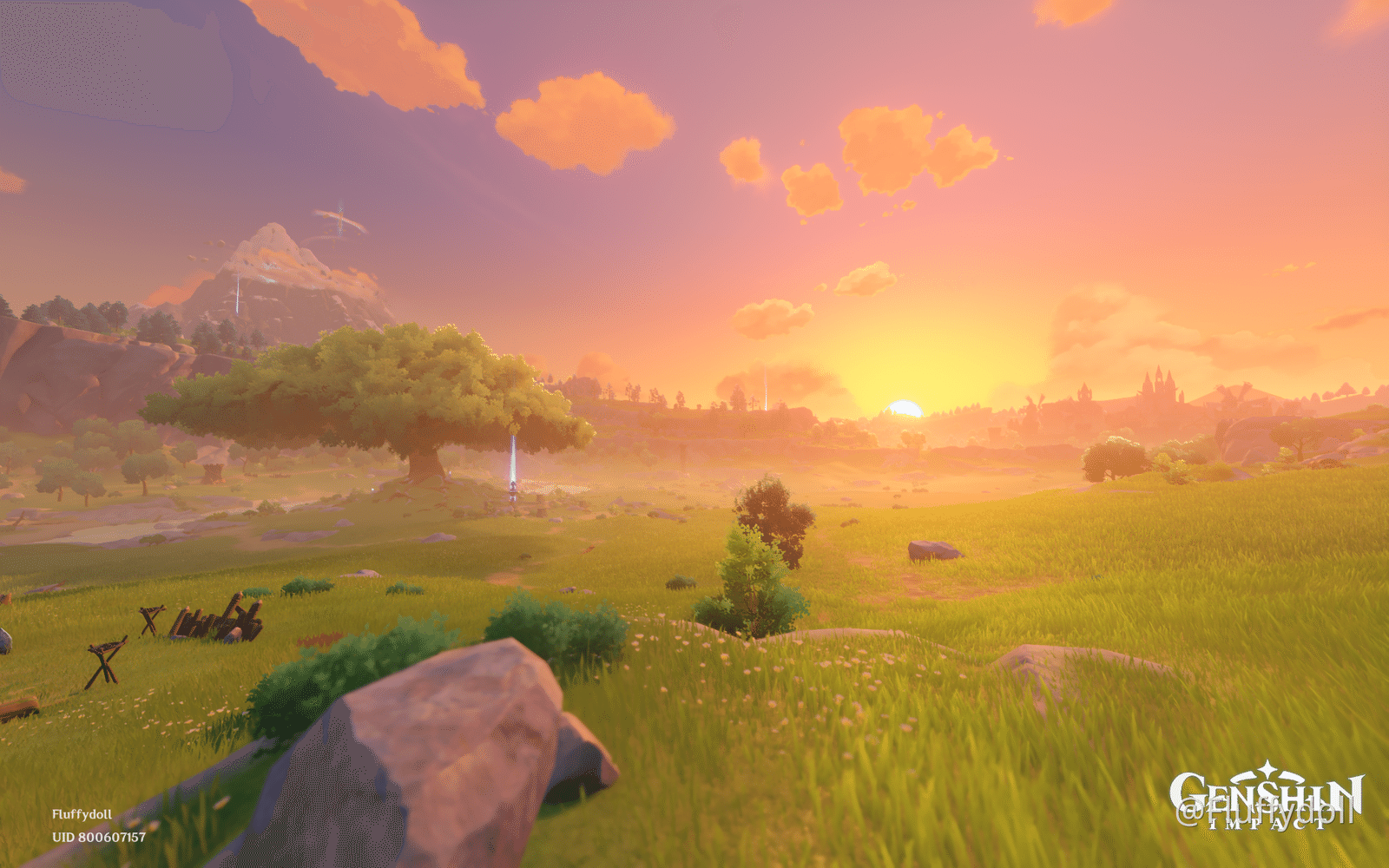 Windrise Genshin Impact | HoYoLAB