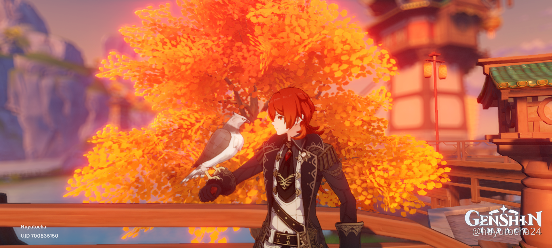 Falcon and diluc are beautiful Genshin Impact | HoYoLAB