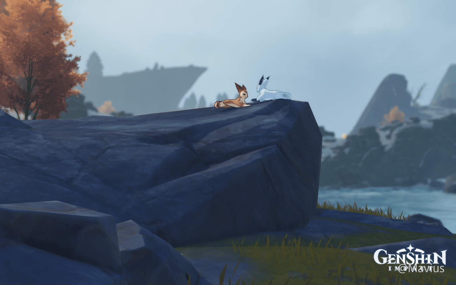 Foxes Genshin Impact | HoYoLAB