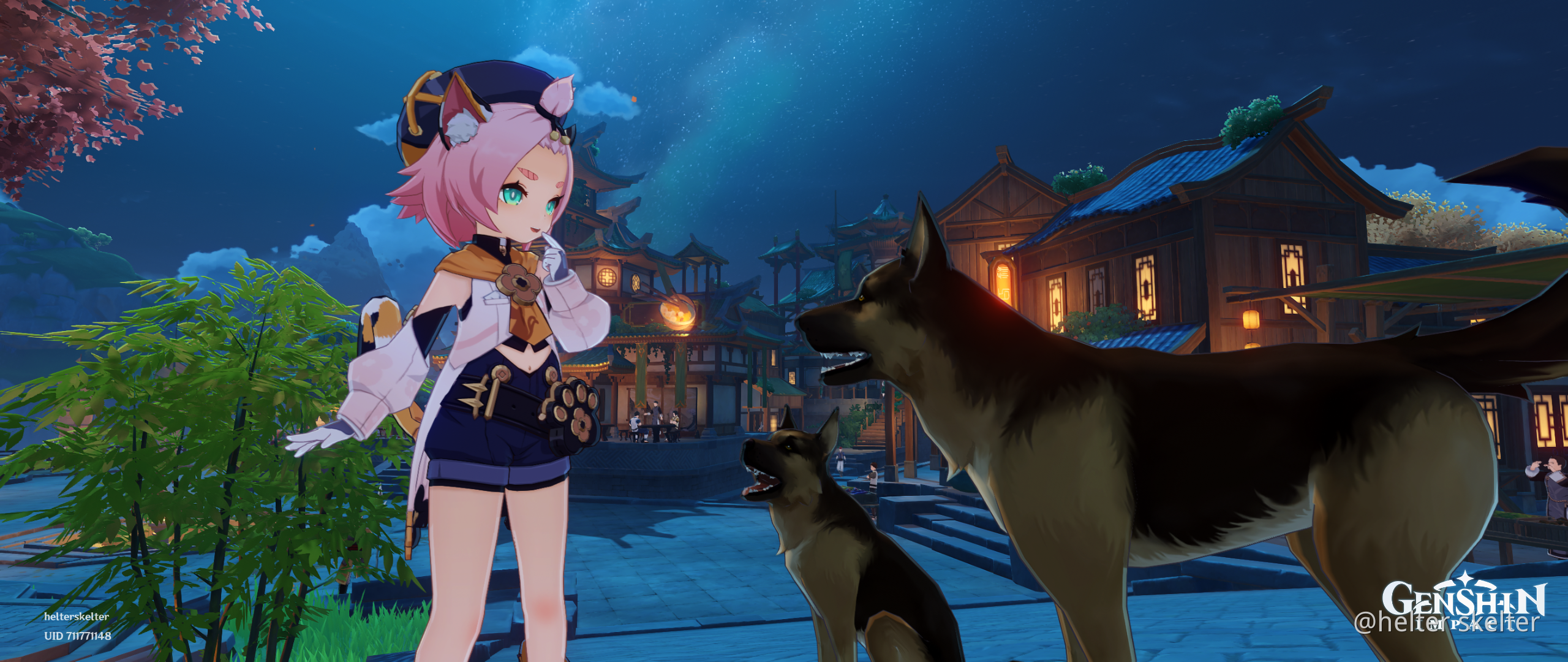 More dogs! U・ᴥ・U Genshin Impact | HoYoLAB
