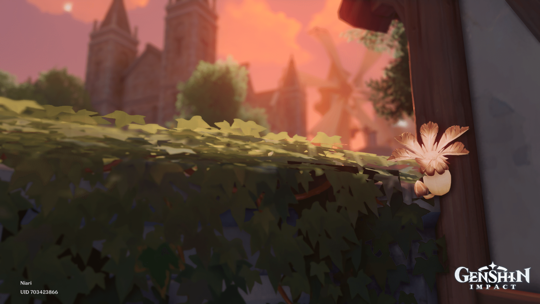 [V1.4 Guide] The Windblume Star's Guide to Choosing the Windblume ...