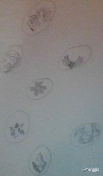 all sigils Genshin Impact | HoYoLAB