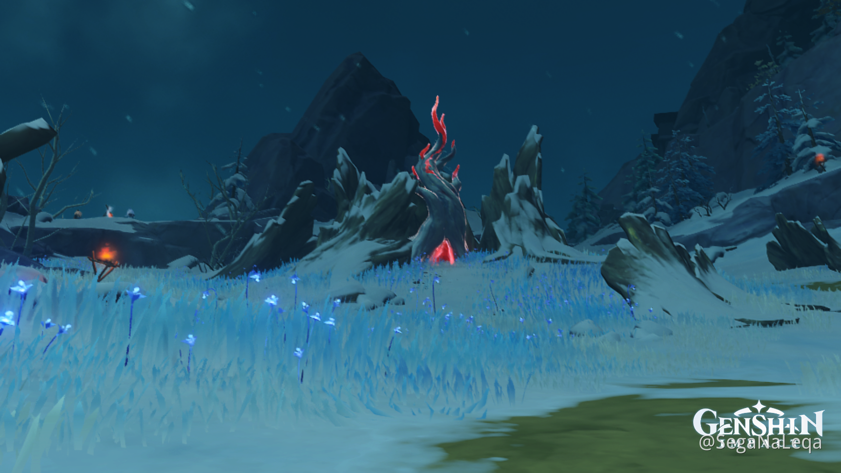 Windblume Event Genshin Impact | HoYoLAB