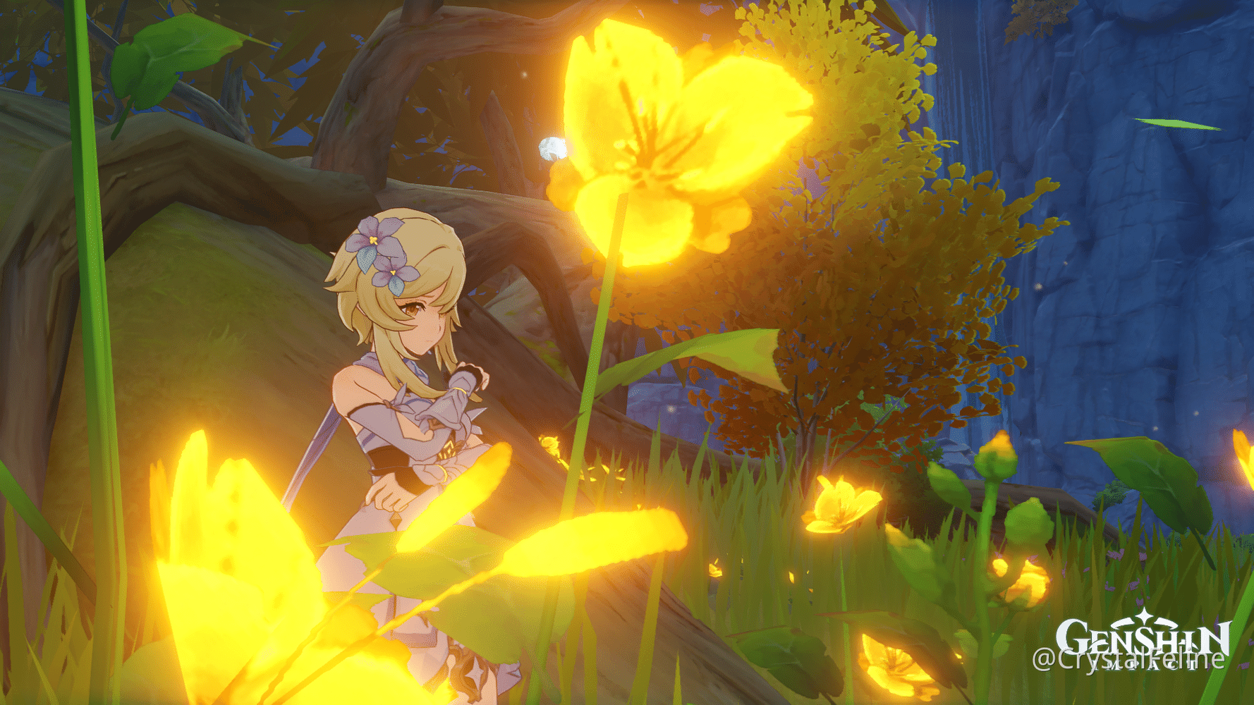 More Photos! Genshin Impact | HoYoLAB