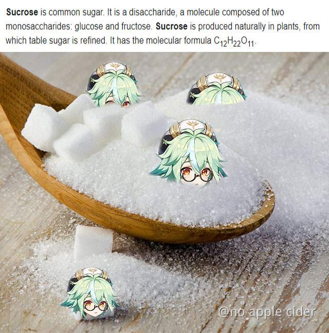 Sucrose is secretly sugar | Genshin Impact | HoYoLAB