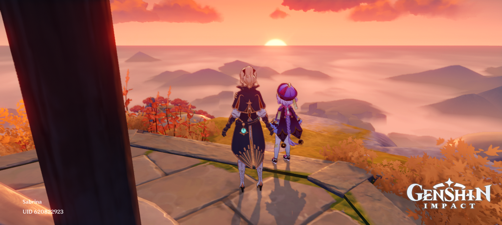 Cool co-op screenshots Genshin Impact | HoYoLAB