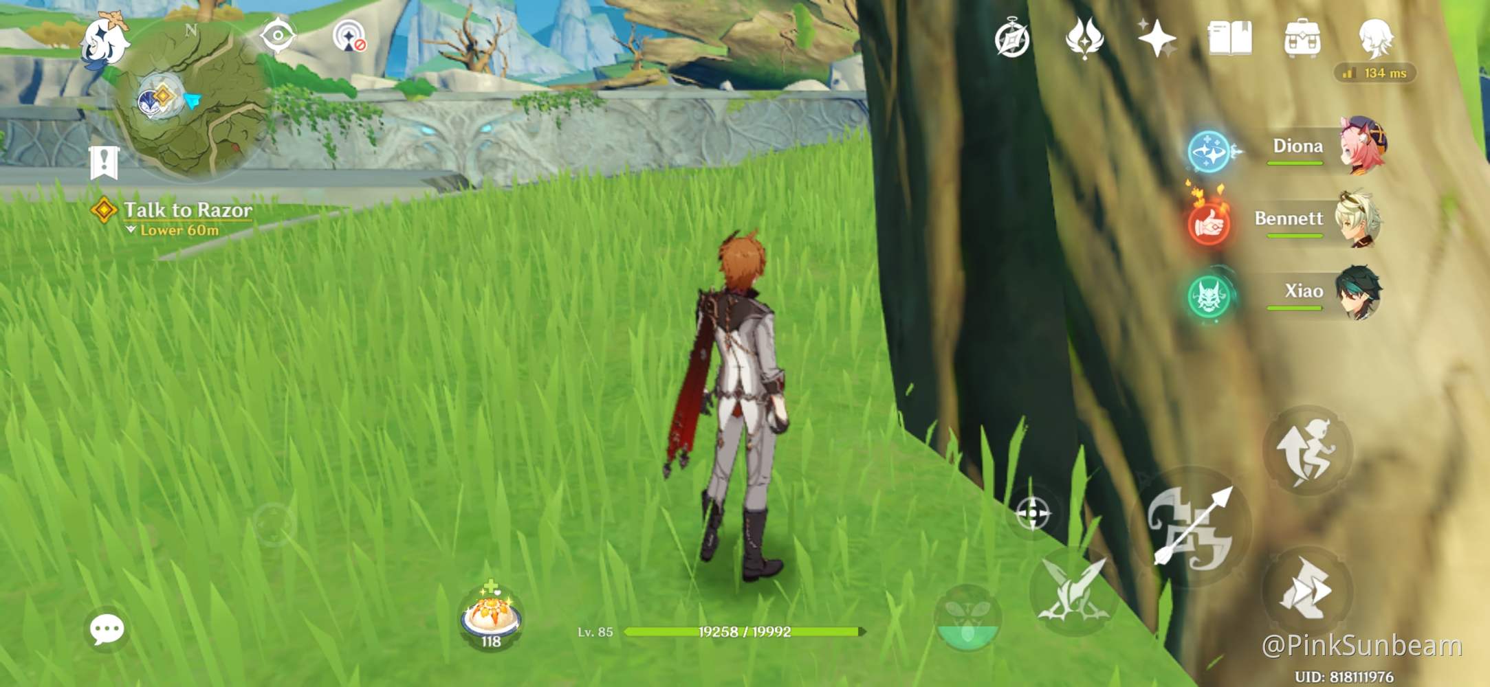 Elemental Burst icon (newest Quest : potentially spoiler) Genshin ...
