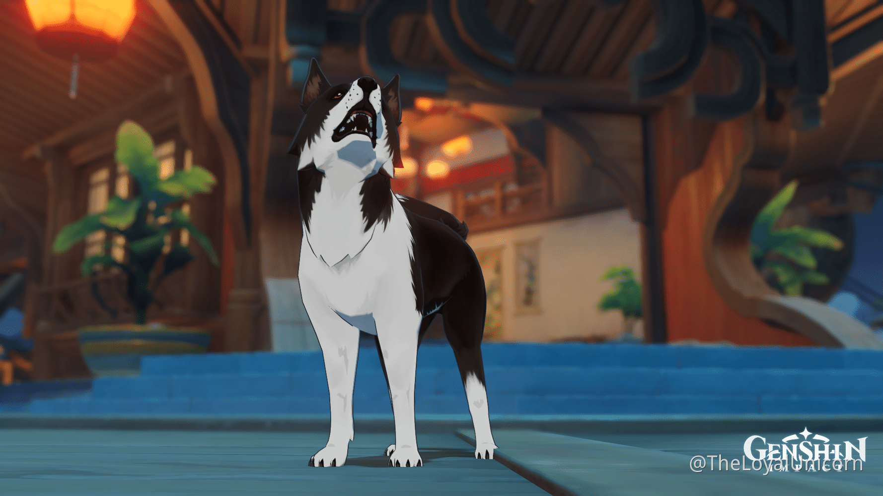 Dogs in Genshin Impact Genshin Impact | HoYoLAB