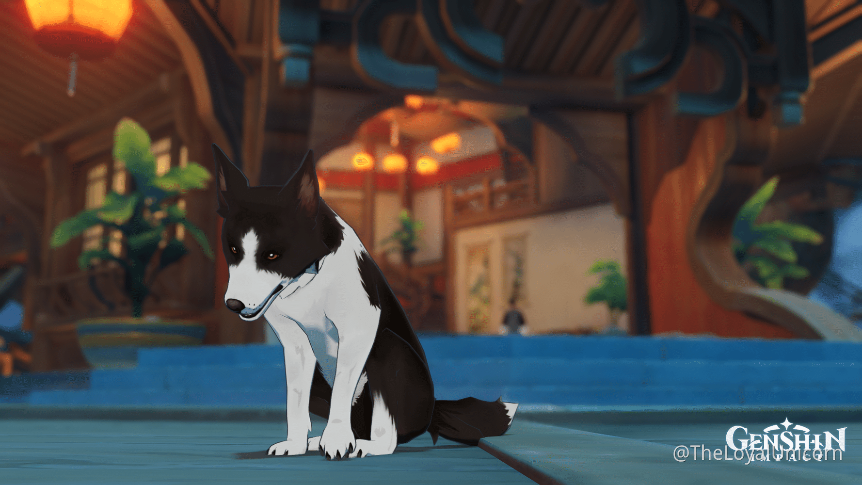 Dogs in Genshin Impact Genshin Impact | HoYoLAB