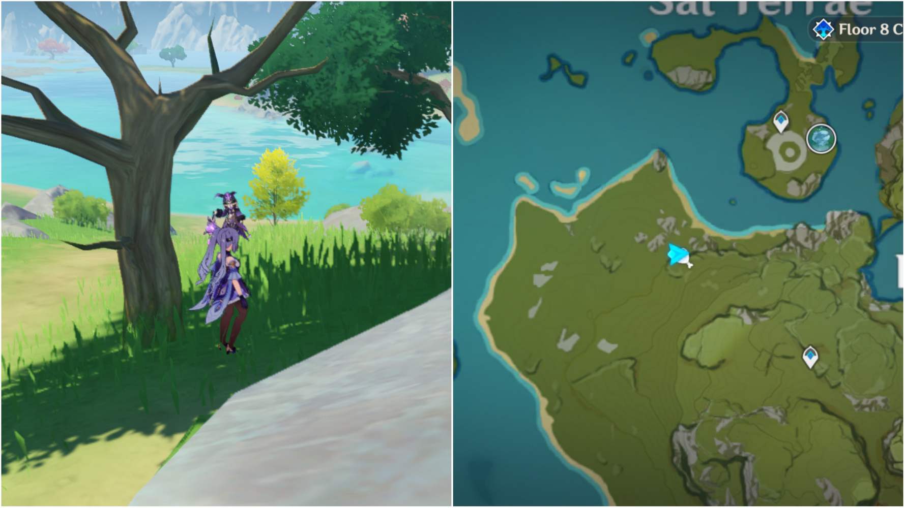 Apples and Sweet Flowers locations Genshin Impact | HoYoLAB