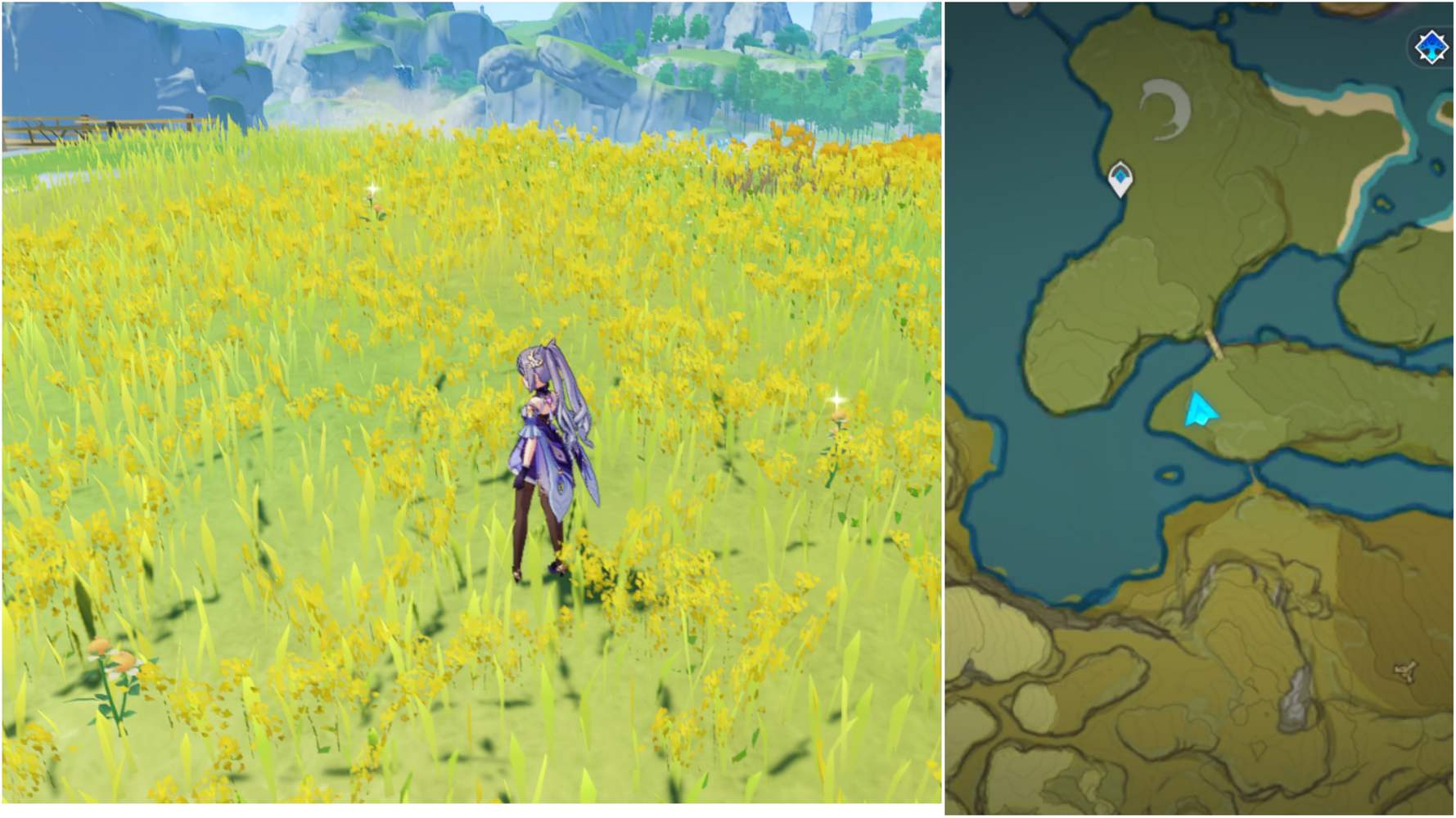 Apples and Sweet Flowers locations Genshin Impact | HoYoLAB