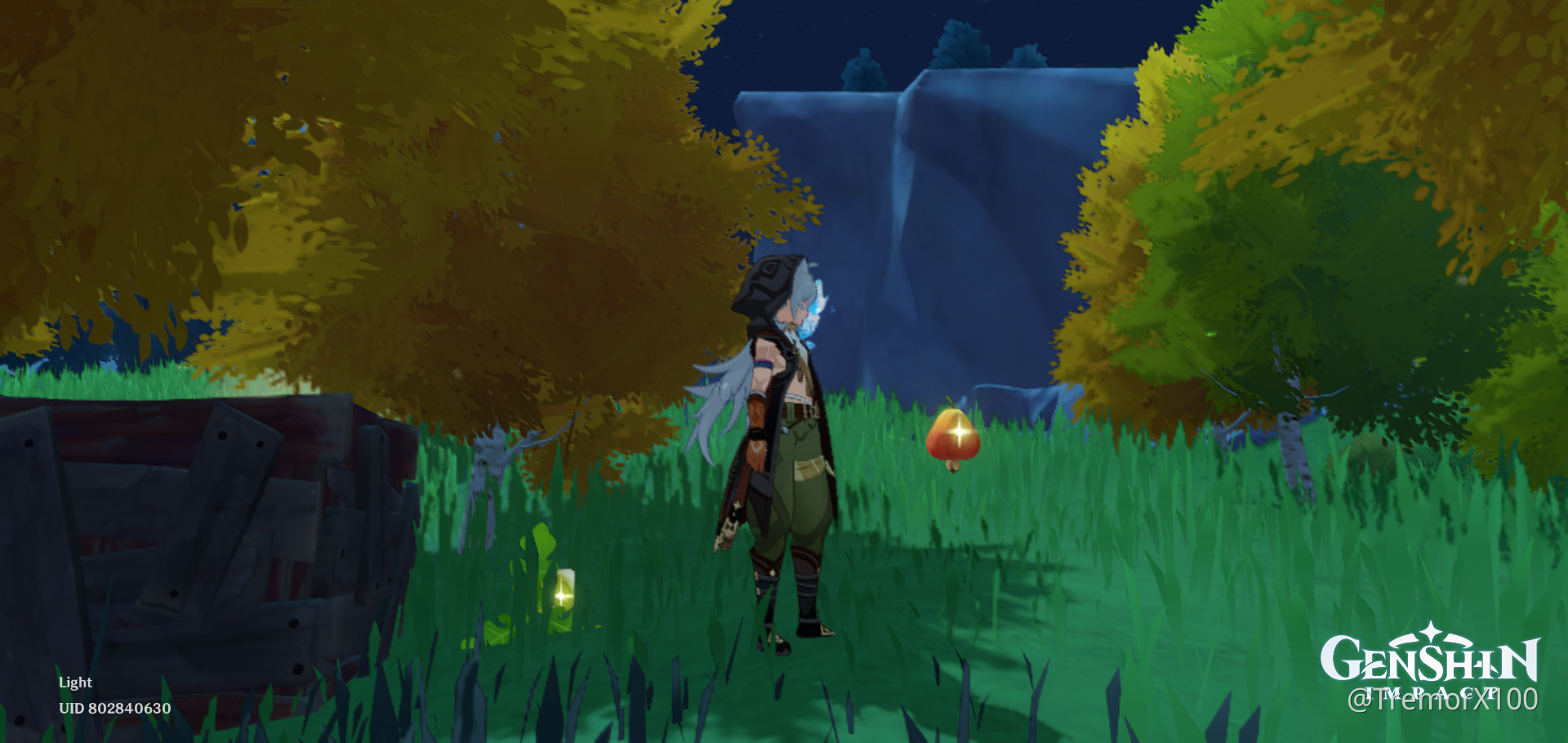 Once there was a floating Sunsettia... Genshin Impact | HoYoLAB