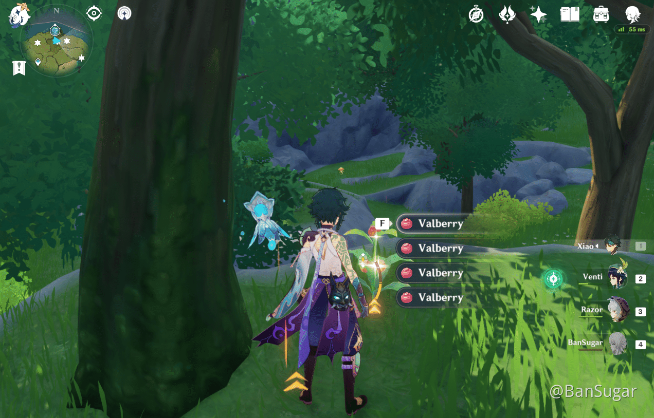 [V1.4 Guide] Efficient Route for all 76 Valberries in less than 10 ...