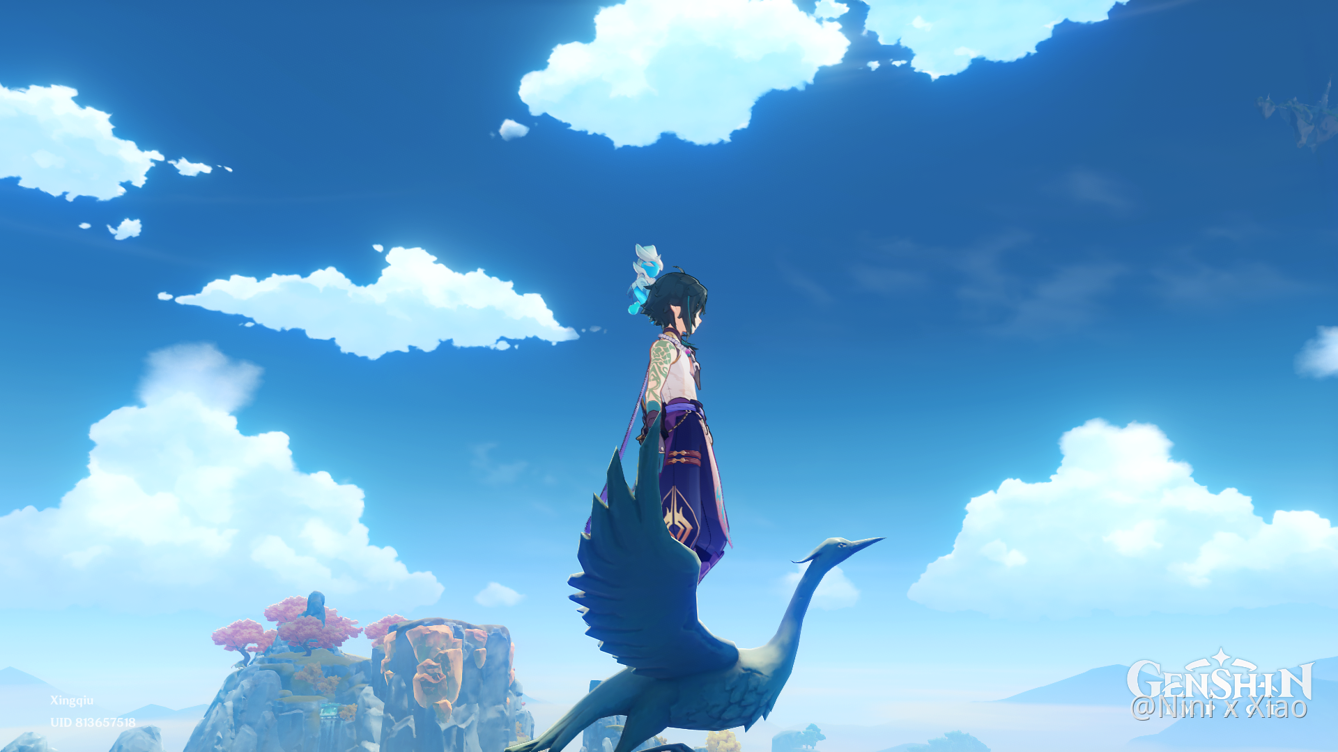 FLY my little bird Genshin Impact | HoYoLAB