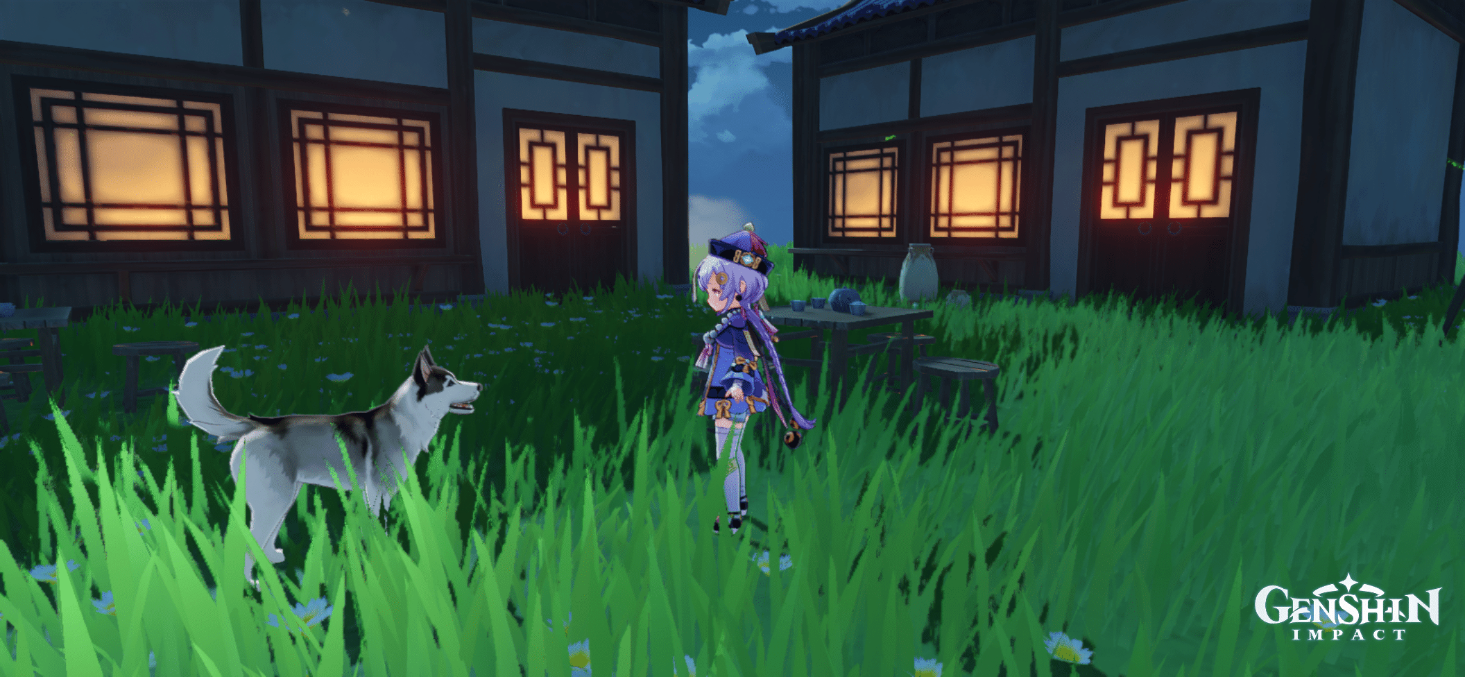 Love these adorable pets! Genshin Impact | HoYoLAB