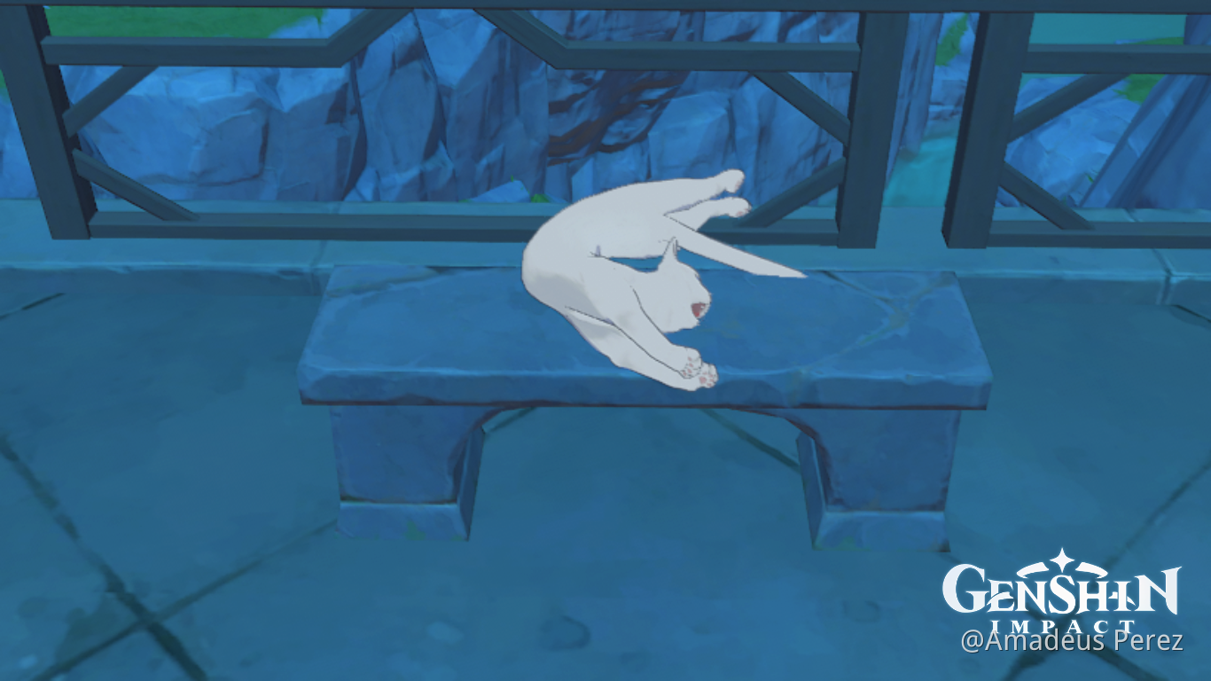 Possessed White Cat Genshin Impact | HoYoLAB