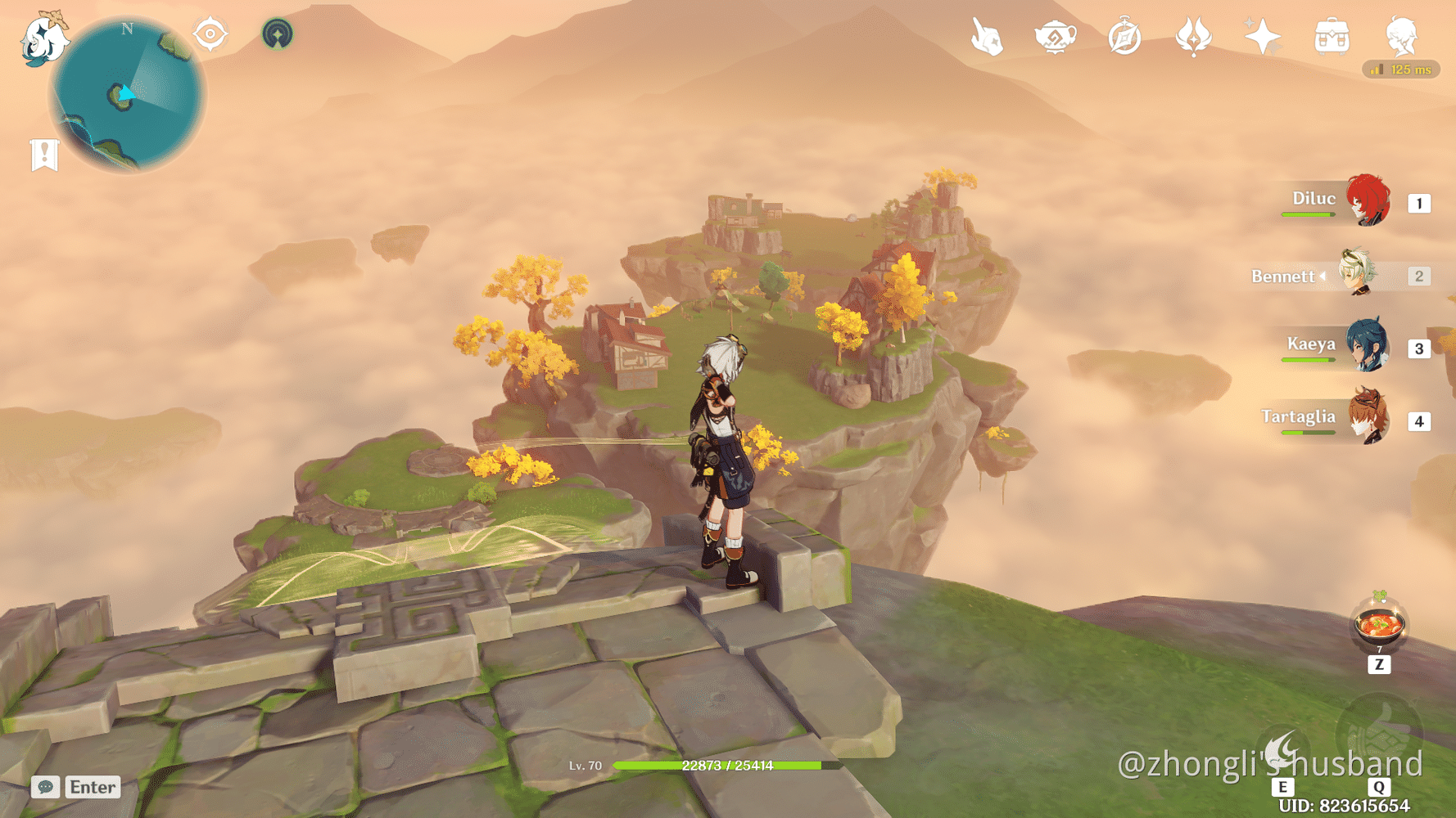 Floating Abode Aesthetic (new exterior dimension trust rank 5) Genshin ...