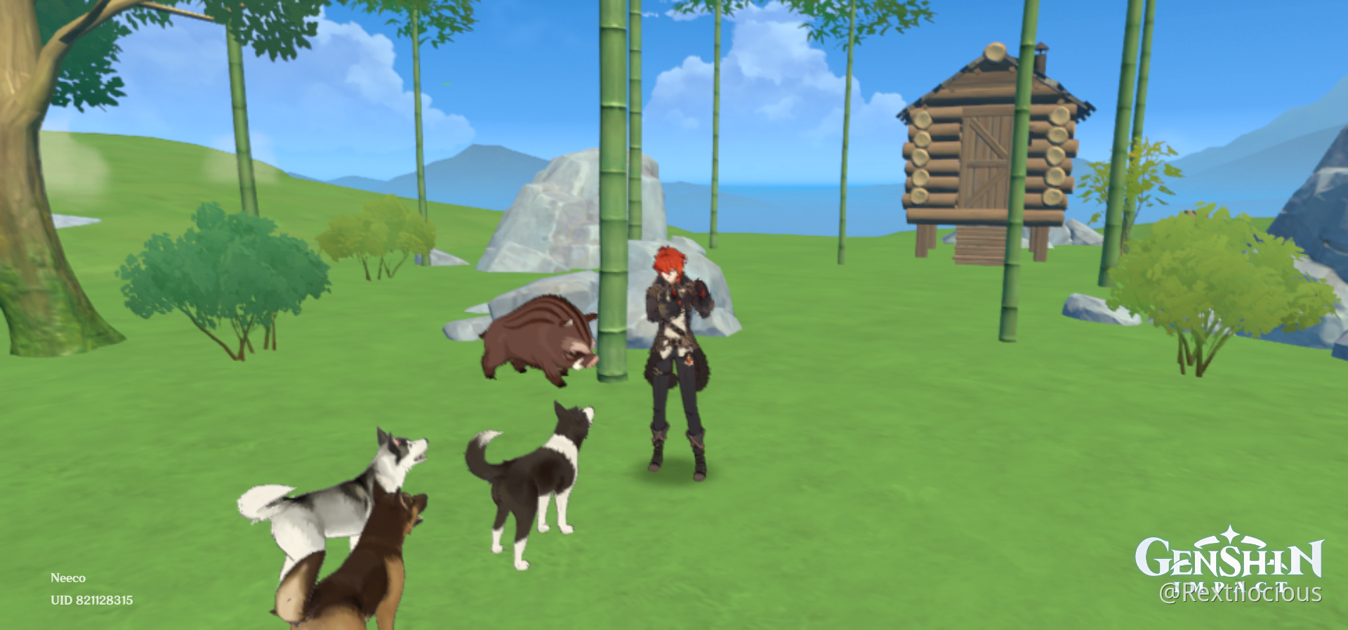 ALL I WANT IS GRASS Genshin Impact | HoYoLAB