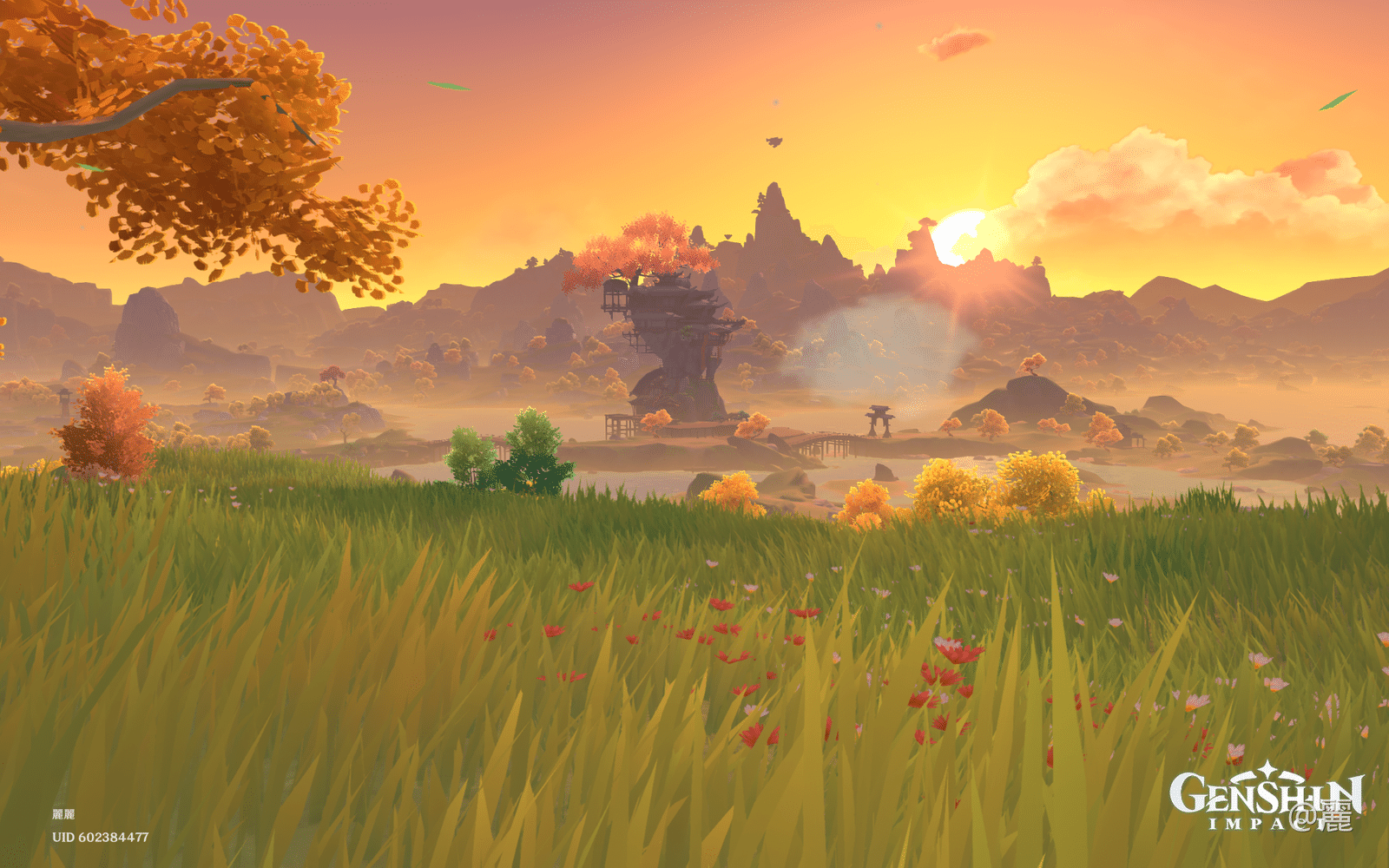 perhaps the best genshin scenery screenshot i will ever take Genshin ...