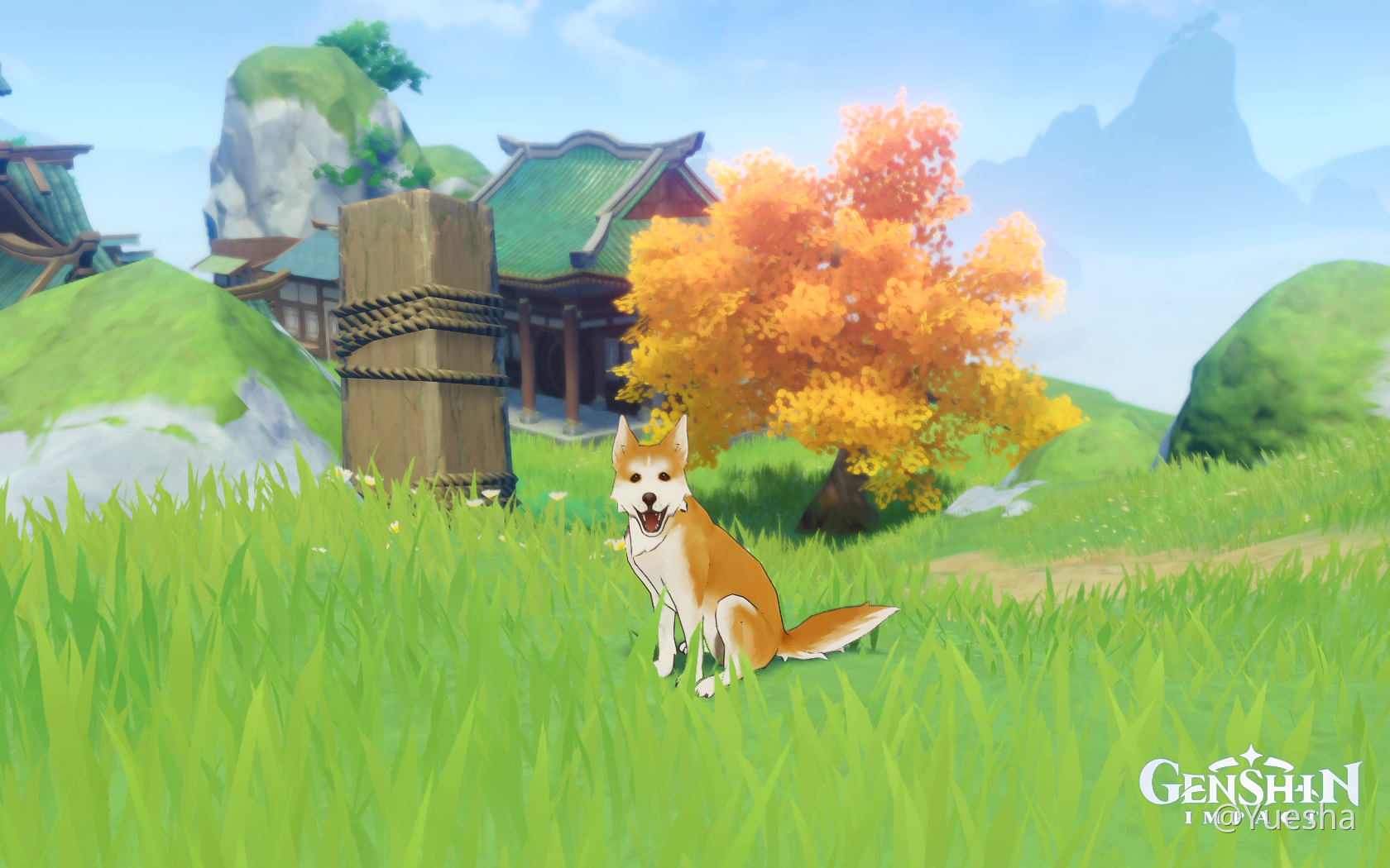 Finally got the red dog from the traveling salesman Genshin Impact ...