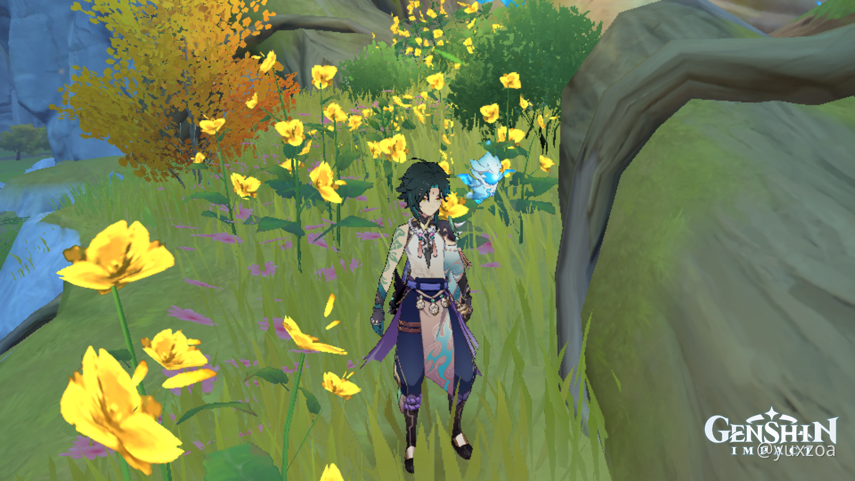 Bloom Genshin Impact | HoYoLAB