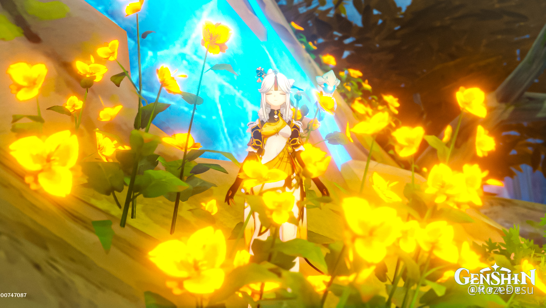 Feel The Light Genshin Impact | HoYoLAB