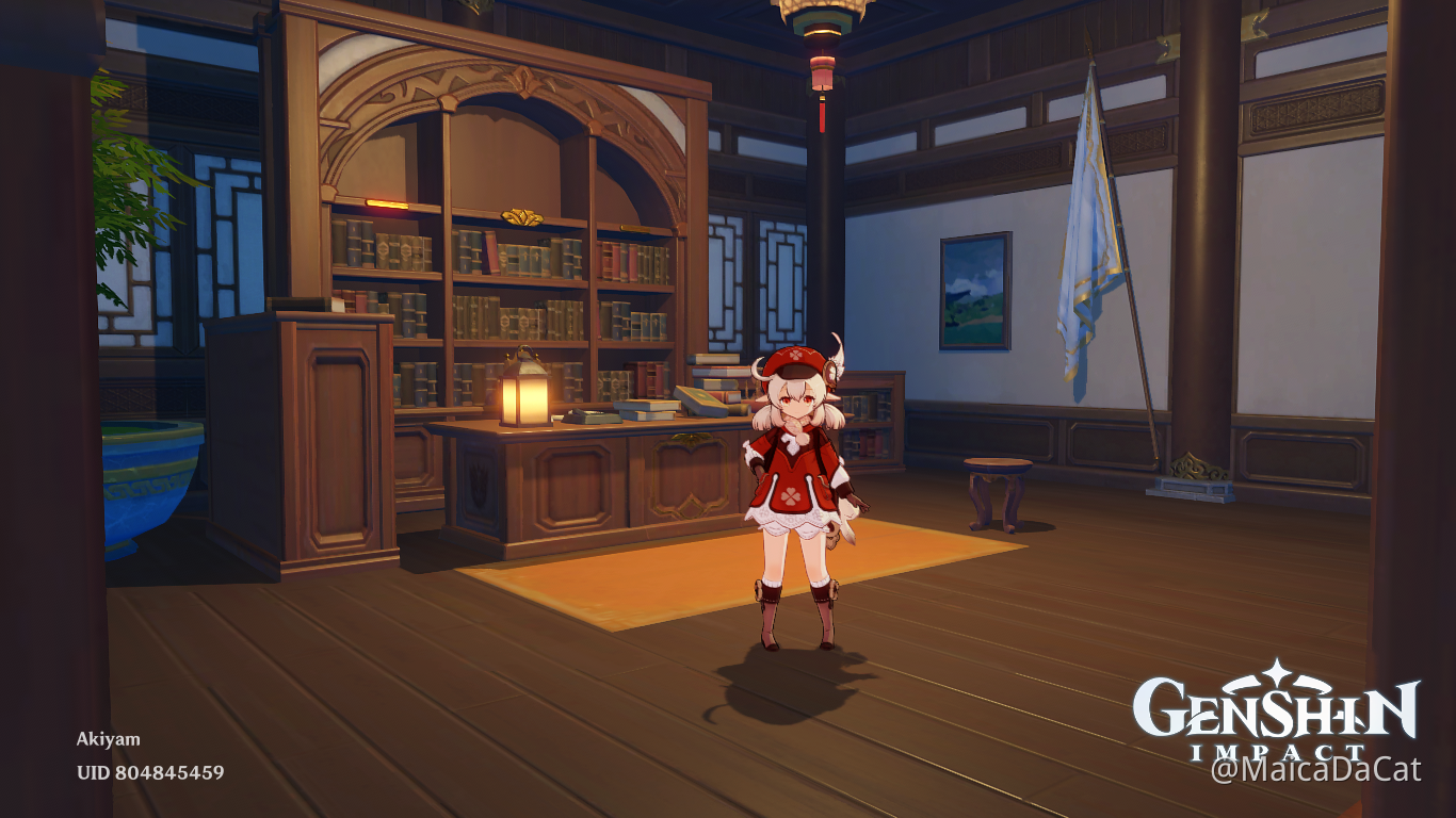 I present you my rooms