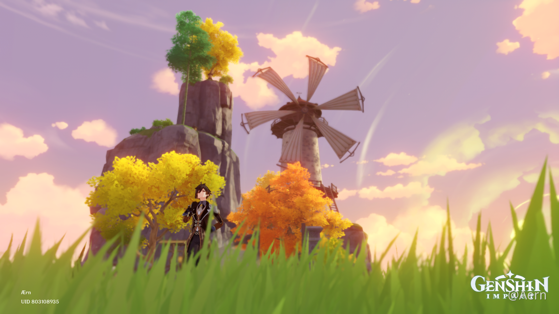 My Wishing Well on the Floating Abode Genshin Impact | HoYoLAB