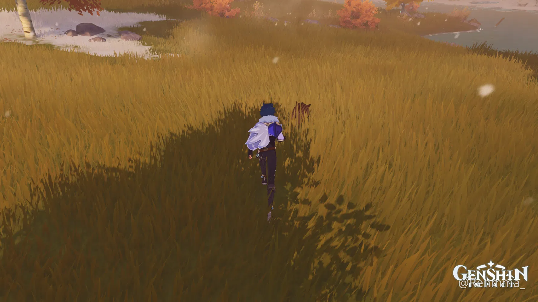 Baby Boar Genshin Impact | HoYoLAB