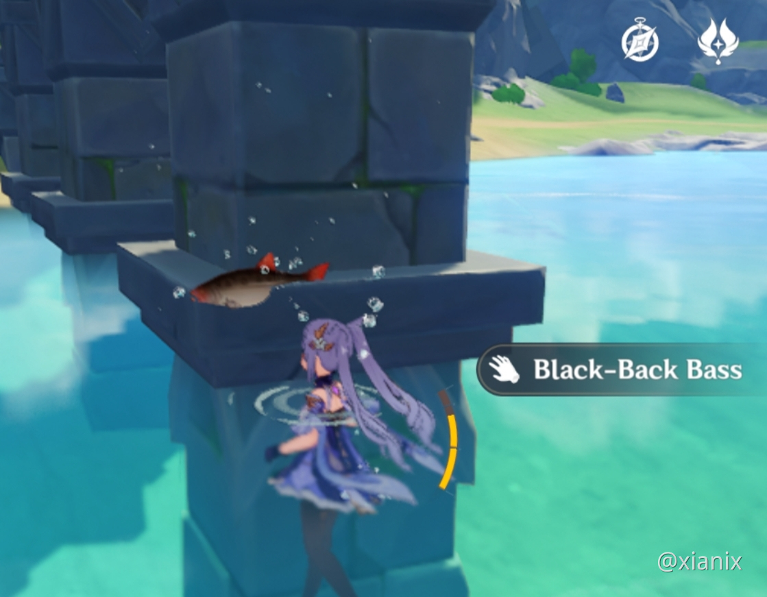 fish Genshin Impact | HoYoLAB