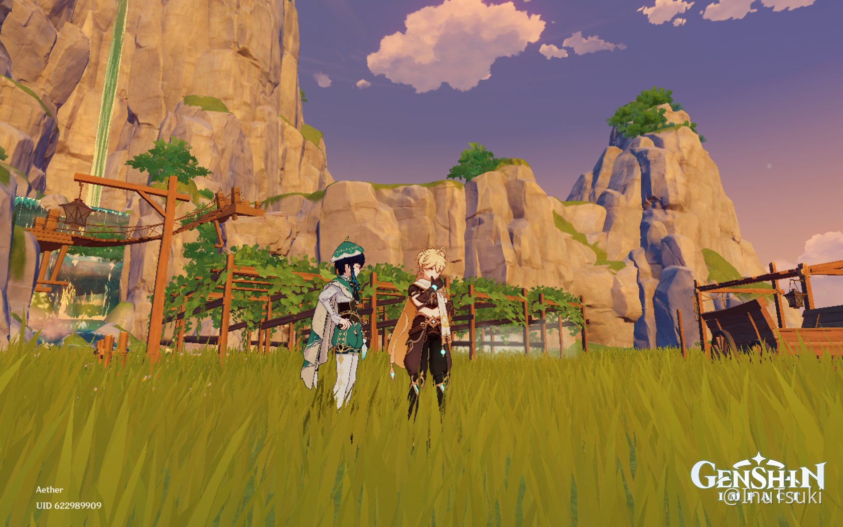 My Tetera XD | Genshin Impact | HoYoLAB